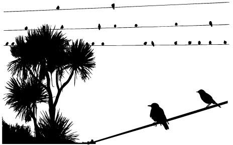 Birds Vectors graphic art designs in editable .ai .eps .svg format free ...