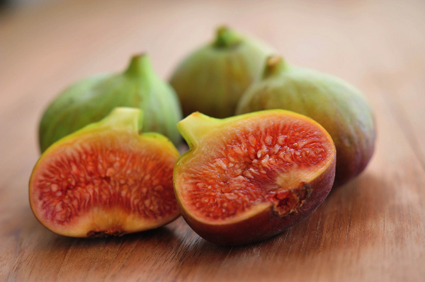 Fig photos photos free download sort by newest first