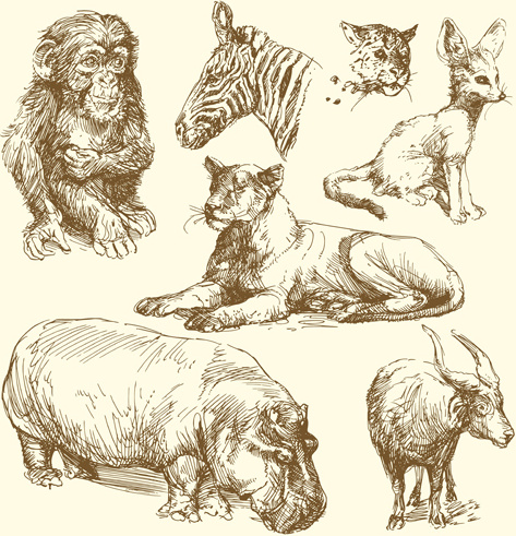 Hand drawn wild animal design vectors vectors free download new collection