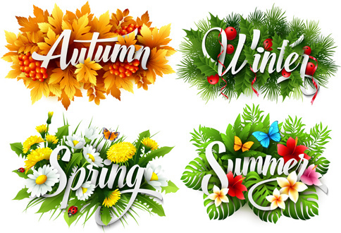 Pin on Sandra Hollinger