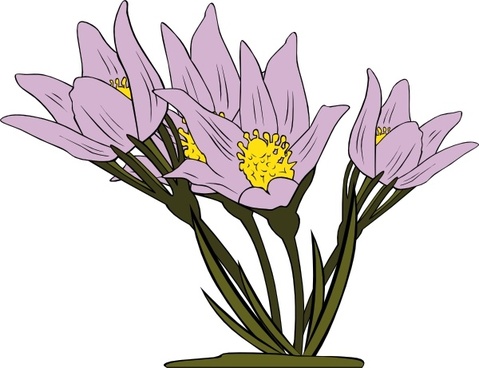 KU Anemone Piperi Free vector in Open office drawing svg ( .svg ...