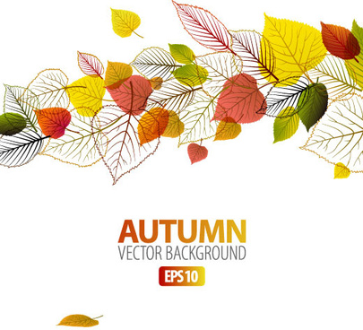 Autumn harvest elements vector background set Free vector in Adobe Illustrator ai ( .ai ) vector ...