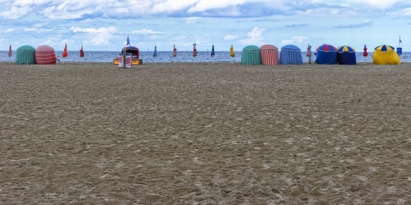 Sand tracks sea grass Free stock photos in JPEG (.jpg) 4320x2880 format ...