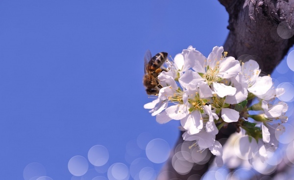 Spring free stock photos download (4,549 Free stock photos) for ...
