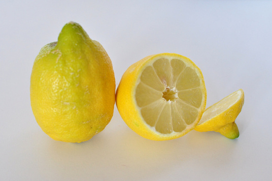 Citron free stock photos download (5 Free stock photos) for commercial ...