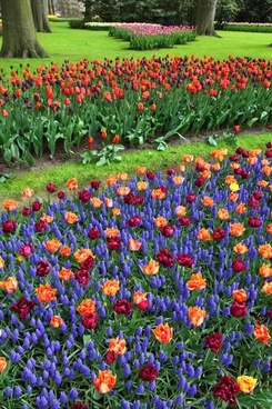 Blooming flower garden Free stock photos in JPEG (.jpg) 5000x3333 ...
