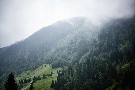 Daytime environment fog forest hill landscape lush Free stock photos in ...