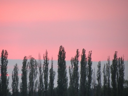 Sunset afterglow evening sky Free stock photos in JPEG (.jpg) 3240x4320 ...