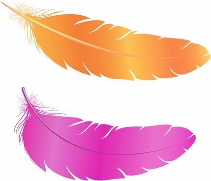 Feather vectors Free vector in Adobe Illustrator ai ( .ai ) vector ...
