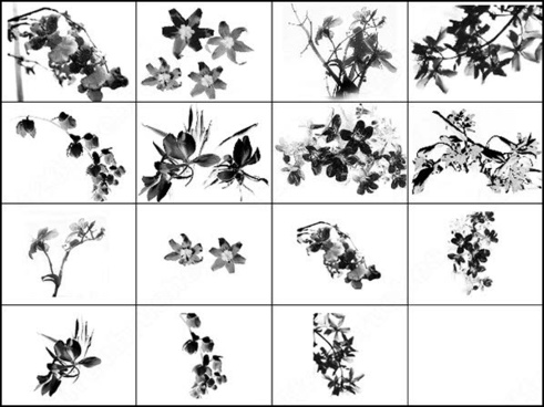 Floral Brushes photoshop brushes in Photoshop brushes abr ( .abr ...