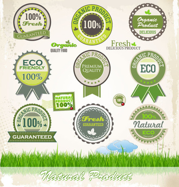 Beautiful green label 04 vector Free vector in Encapsulated PostScript ...