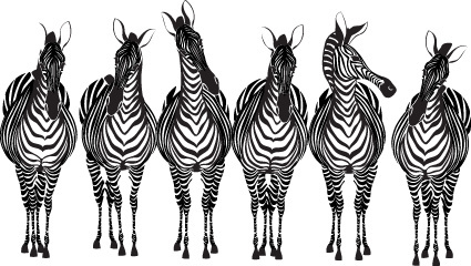 hand_drawn_zebra_and_giraffe_design_vector_572015.jpg (425×240 ...