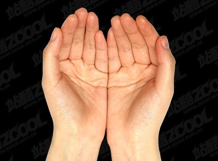 Hand free psd download (244 Free psd) for commercial use. format: psd