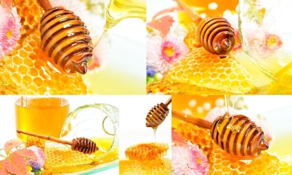 Hd honey picture free stock photos download (2,578 Free stock photos ...