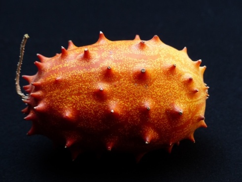 Horn cucumber fruit horn melon Free stock photos in JPEG (.jpg ...