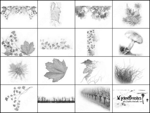 Nature Brushes photoshop brushes in Photoshop brushes abr ( .abr ...