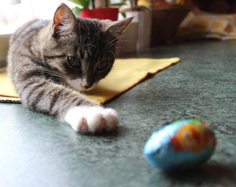 Jupiter planet solar system free stock photos download (360 Free stock ...