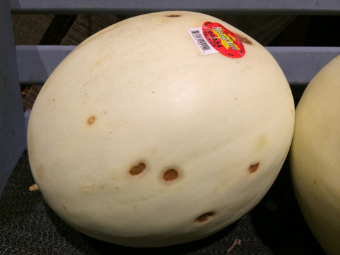 Honeydew melon aka alien lifeform Free stock photos in jpg format for ...