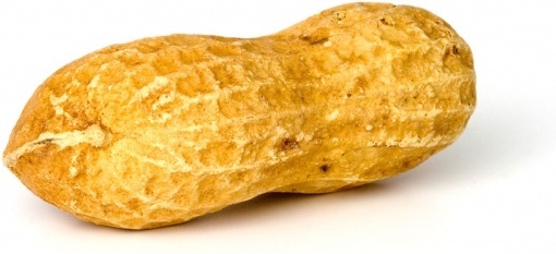 Peanuts Free stock photos in JPEG (.jpg) 1280x960 format for free ...