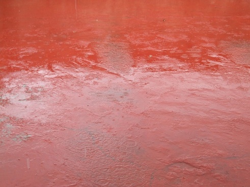 Rainfall free stock photos download (4 Free stock photos) for ...