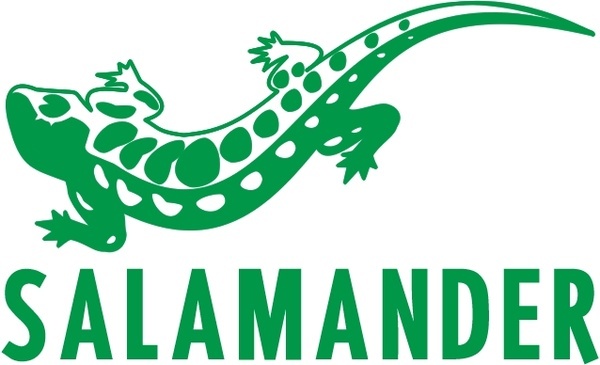 Salamander free vector download (10 Free vector) for commercial use ...