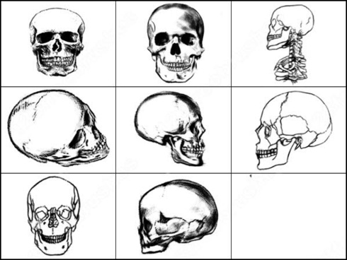 Skull cross bones photoshop brushes download (25 photoshop brushes) for ...