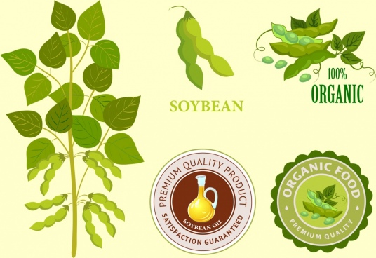 Soybean free vector download (25 Free vector) for commercial use ...
