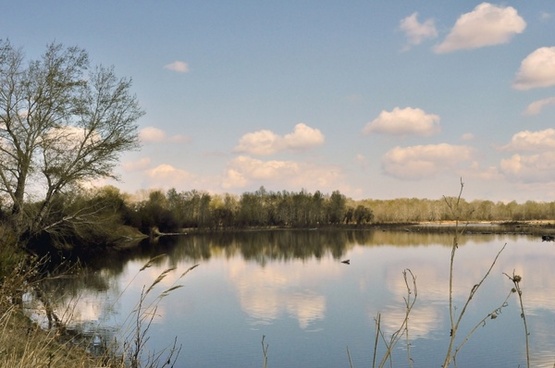 Summer landscape Free stock photos in JPEG (.jpg) 1920x1275 format for ...