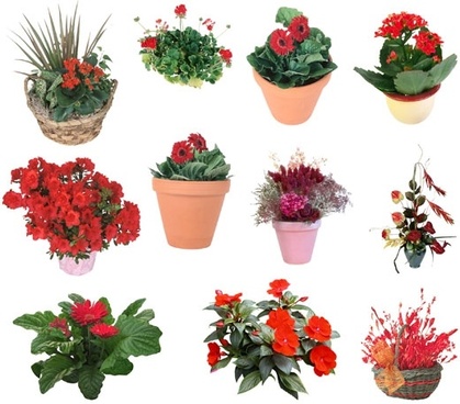 Plants psd file free psd download (62 Free psd) for commercial use ...