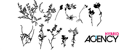 Wither free vector download (7 Free vector) for commercial use. format ...