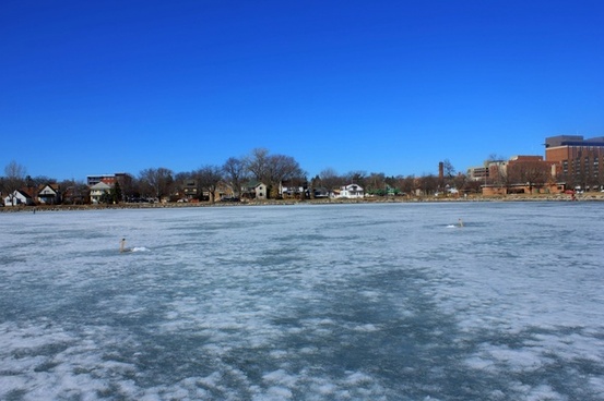 Sunlight through the bushes in madison wisconsin Free stock photos in ...