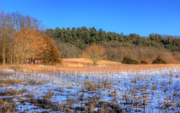 Ice age 3 tree seto sid dinosaurs hatched hd picture Free stock photos ...