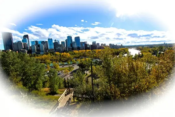 Crescent Photos in .jpg format free and easy download unlimit id:515954