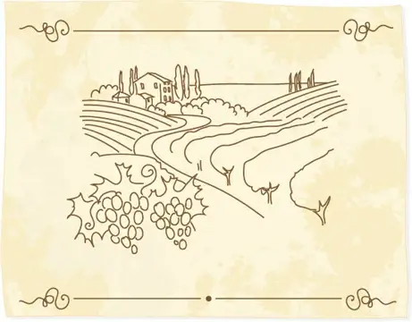 Vineyard vectors free download 34 editable .ai .eps .svg .cdr files