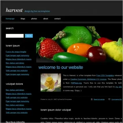 Harvest Web templates in .html .css .js format free and easy download ...