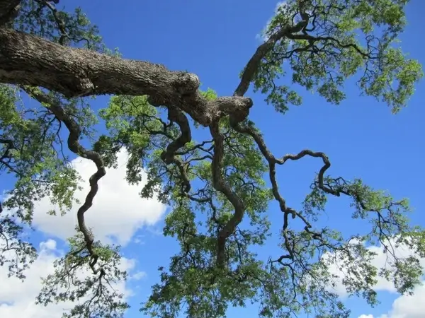 Nature scenery picture peaceful mountain ranges Photos in .jpg format ...