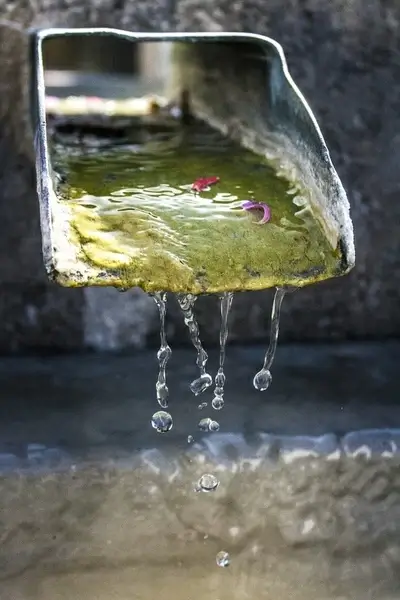 Water natural water drop of water Photos in .jpg format free and easy ...