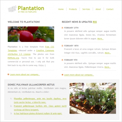 Plantation Free website templates in css, html, js format for free ...