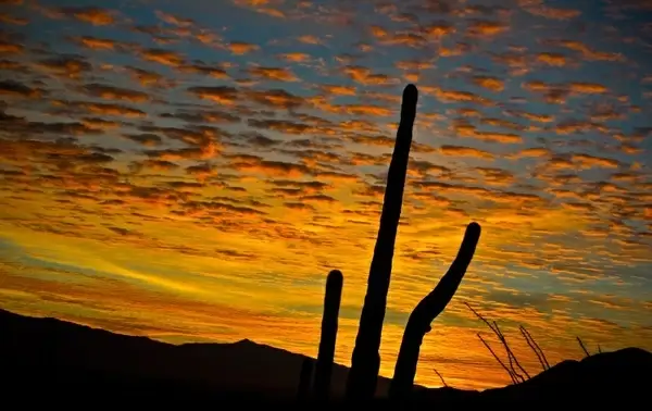 Winter sunrise Photos in .jpg format free and easy download unlimit id ...